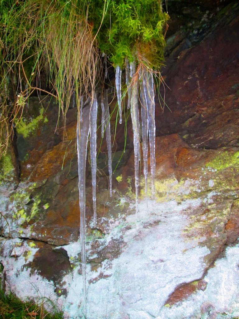 GR 56 Winterhike in de Hoge Venen | caersbart.be