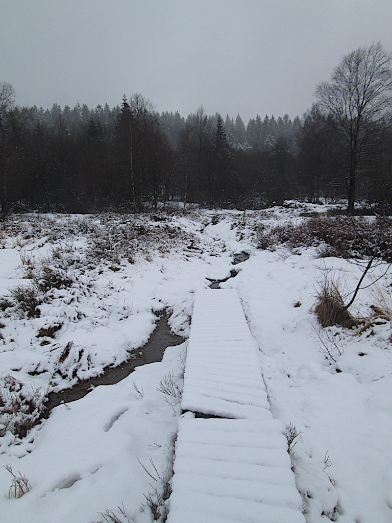 GR 56, tweedaagse hike op de Hoge Venen | caersbart.be