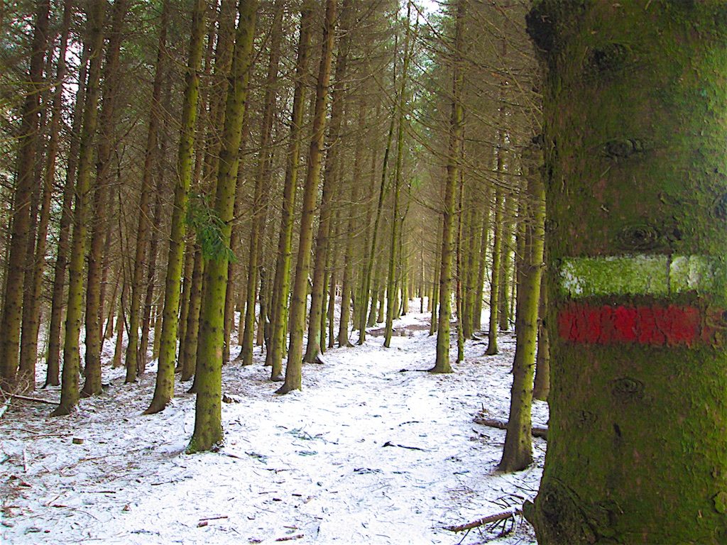 GR 56, tweedaagse hike op de Hoge Venen | caersbart.be