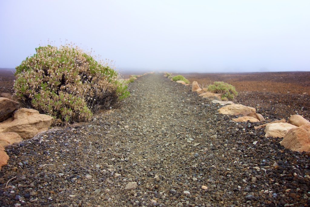 GR 131 Tenerife, Hiking op de Canarische eilanden | caersbart.be