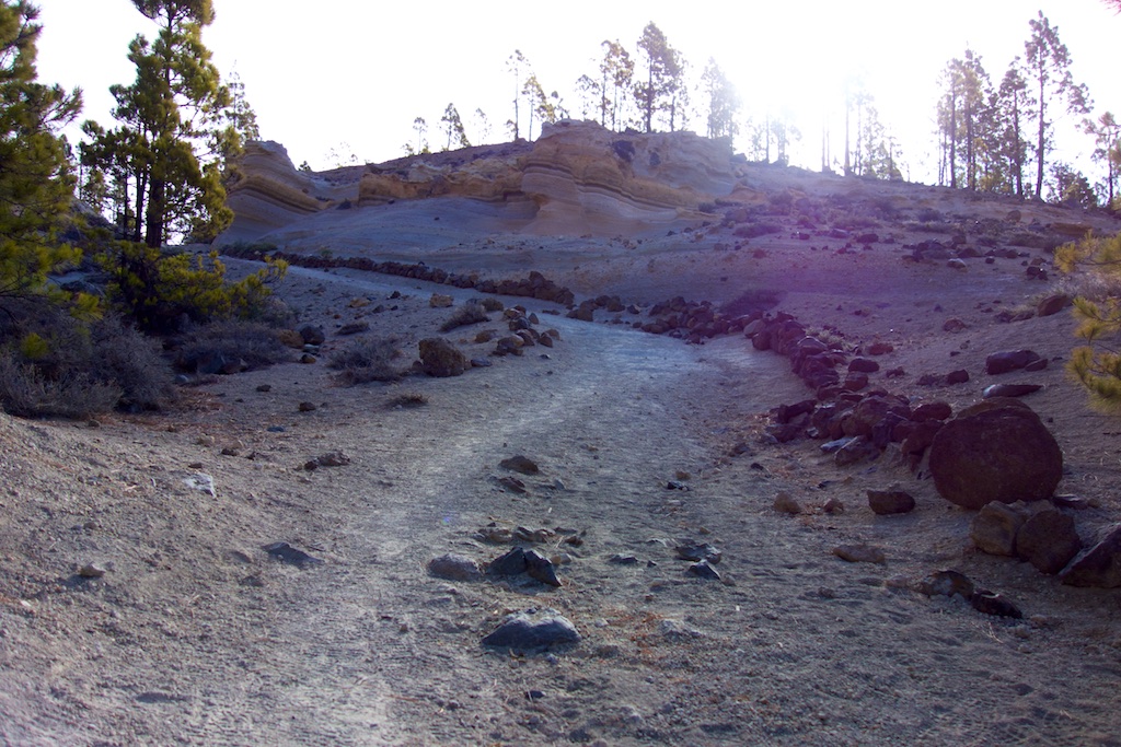 GR 131 Tenerife, Hiking op de Canarische eilanden | caersbart.be