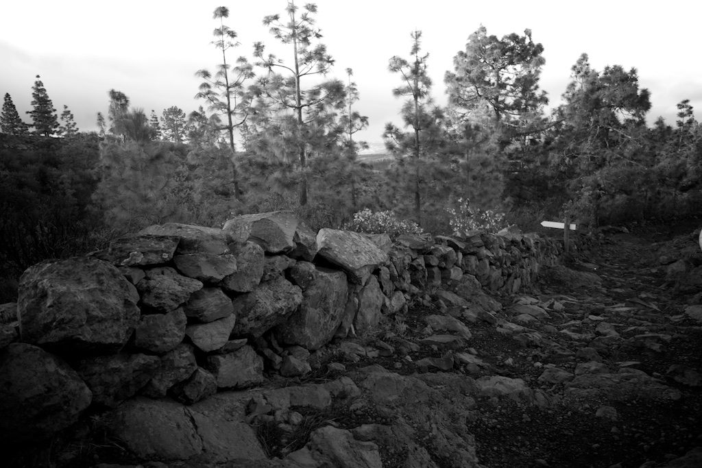 GR 131 Tenerife, Hiking op de Canarische eilanden | caersbart.be