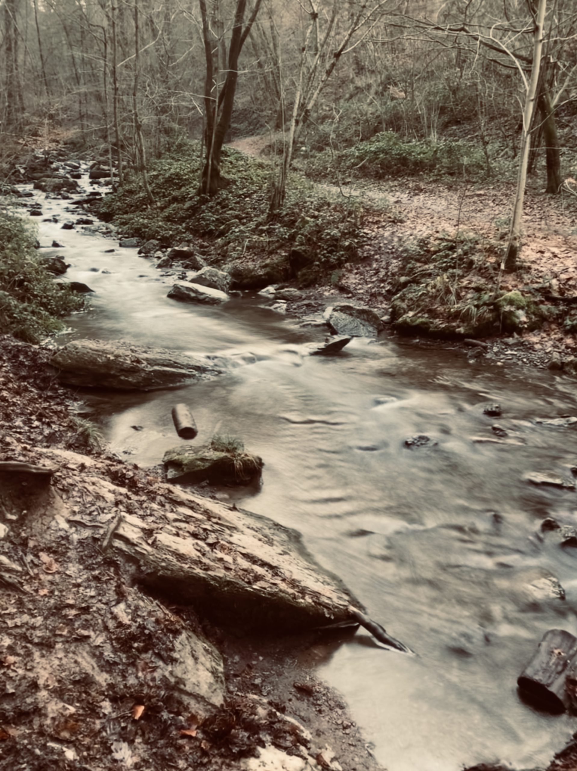 Ninglinspo, wandelen in een spectaculaire vallei | caersbart.be
